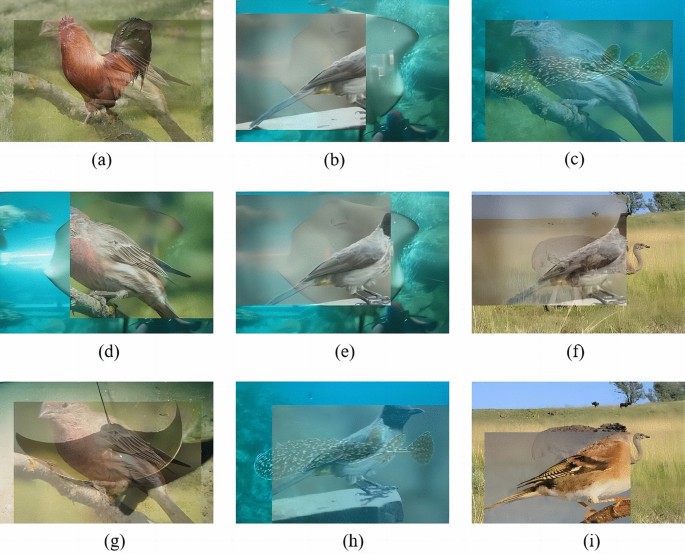 Improving long-tailed classification with PixDyMix: a localized pixel ...