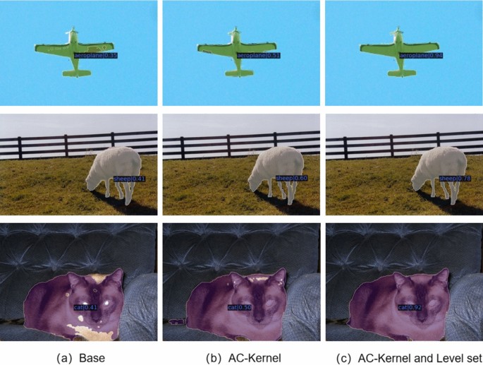 An instance segmentation model based on improved SOLOv2 and Chan–Vese | Signal, Image and Video ...