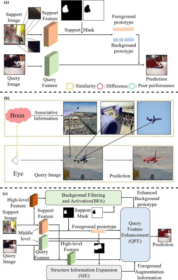 MIINet: a multi-branch information interaction network for few-shot segmentation | Signal, Image ...
