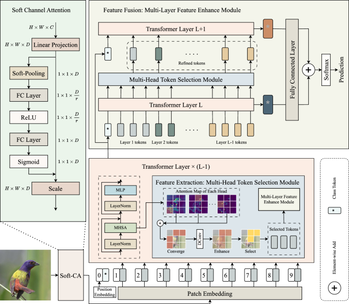 Ts-vit: feature-enhanced transformer via token selection for fine ...