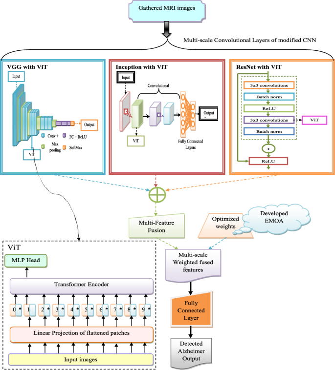 ViT-FusCNN: vision transformer-based weighted fusion of convolution networks for Alzheimer’s ...