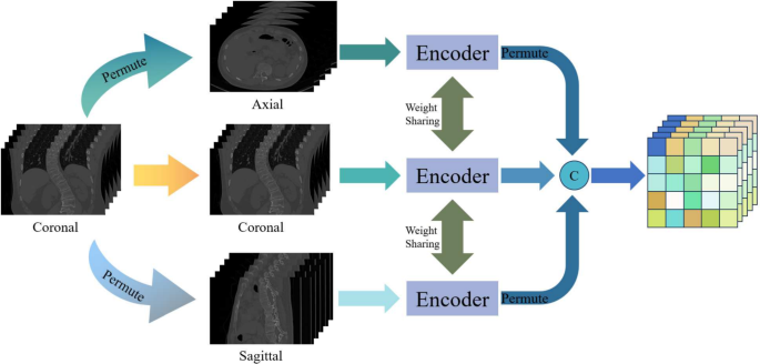 Multi-view feature extraction encoder based on U-Net and linear ...
