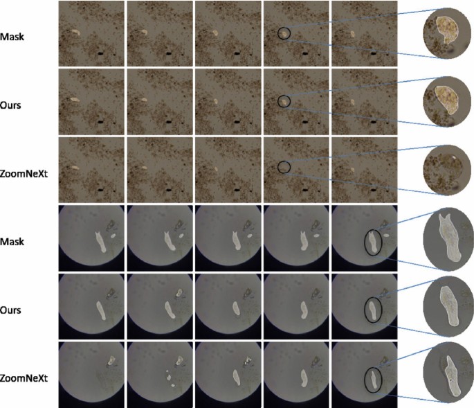 Memory Aggregation Network for Video Camouflaged Object Detection of Activated Sludge ...