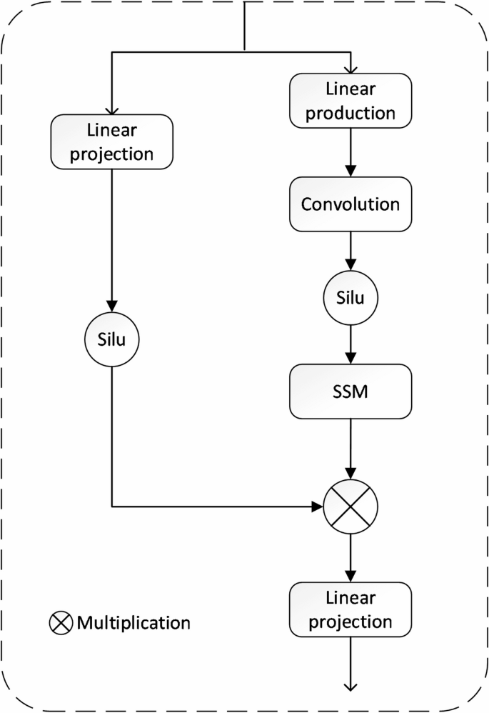 The dual-encoder image forgery detection integrating convolution and ...