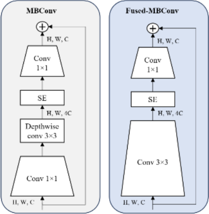 EV2M-YOLOv8: enhancing AI computer vision with EfficientNetV2 and multi ...
