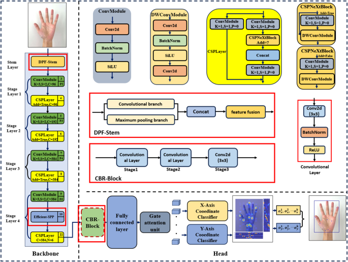 RT-HALN: a lightweight network for hand acupoint localization using dual-branch collaborative ...