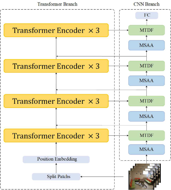Dual-branch fall detection algorithm based on multi-scale temporal ...