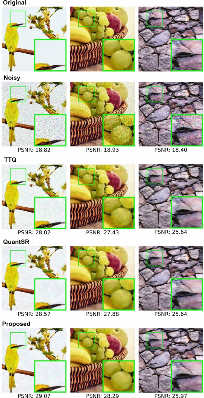 Robust ternary quantization for lightweight image denoising | Signal ...