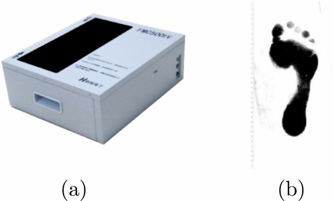 Pre-activated simple attention network with SoftPool for optical ...