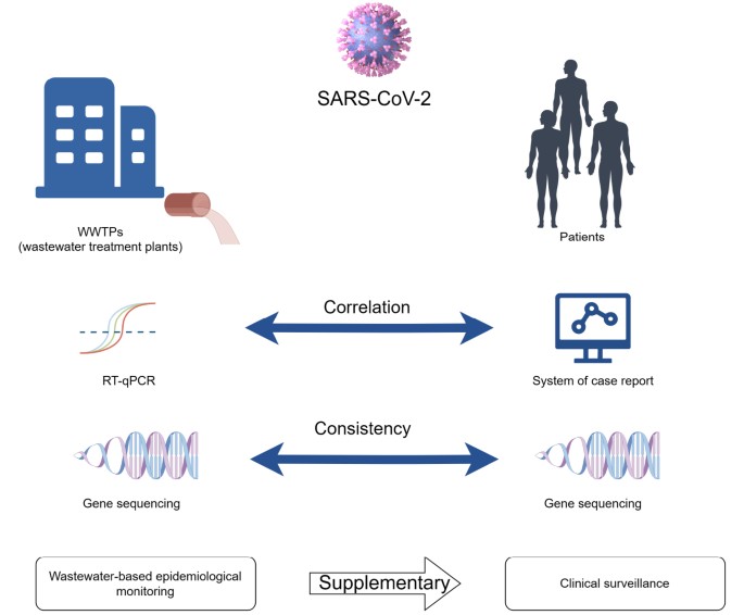 Application of wastewater-based epidemiological monitoring of COVID-19 ...