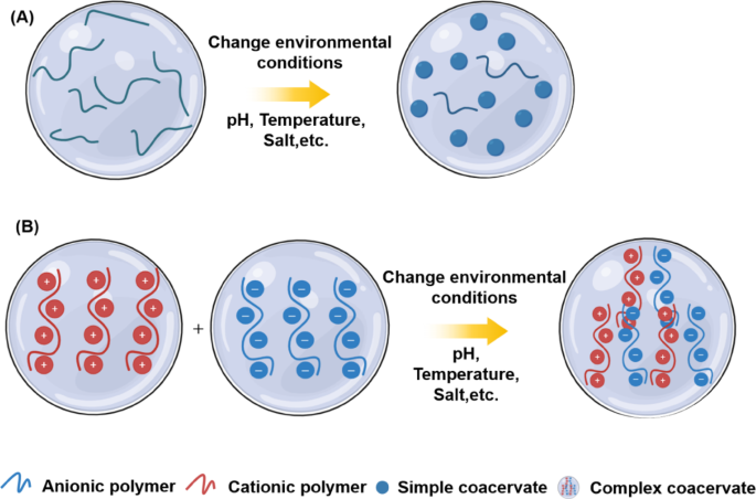 Complex Coacervation-Based Formulation Strategy for 3D Bioprinting ...