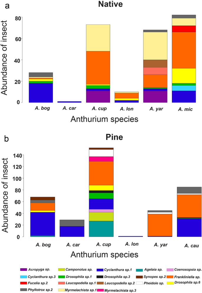 Flowering phenology patterns promotes pollination facilitation in ...