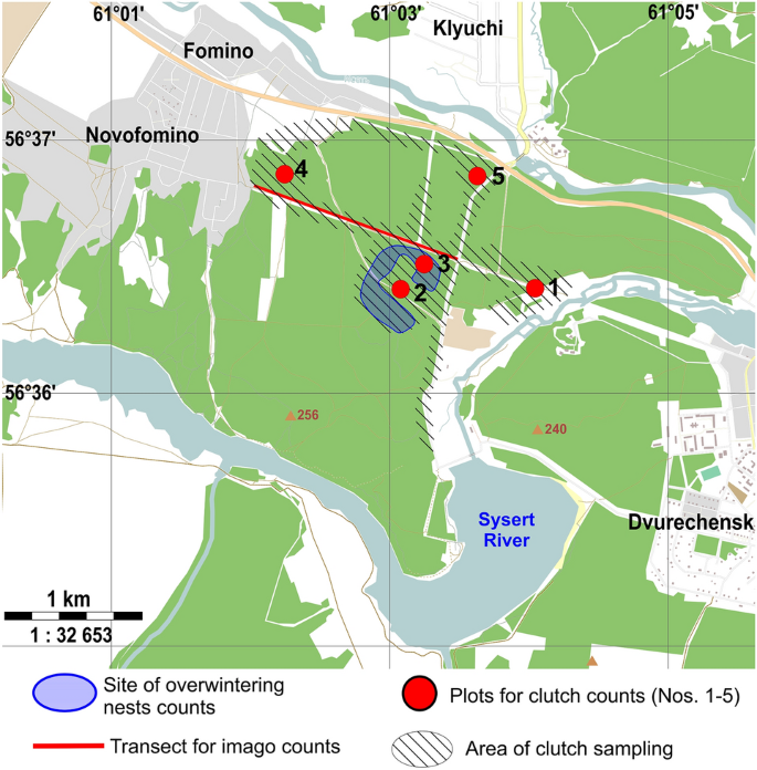 Oviposition patterns of an eruptive butterfly, Aporia crataegi L ...