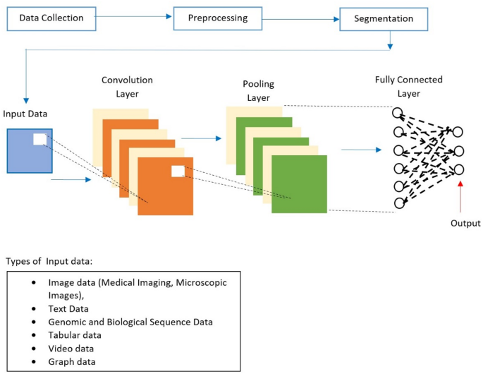 Transformative Impact of Deep Learning and Machine Learning in Oncology ...