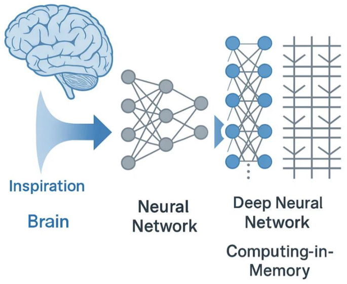 Evolution of Neural Network Models and Computing-in-Memory ...