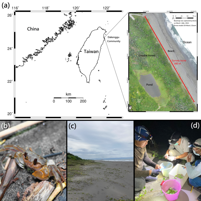 Coastal citizen science monitoring and suggested conservation strategy ...