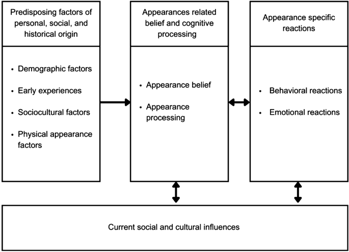 Exploring the role of physical appearance in students’ evaluations of ...