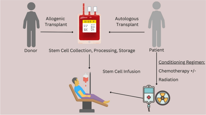 Cardiovascular Considerations in Patients Undergoing Hematopoietic Cell ...