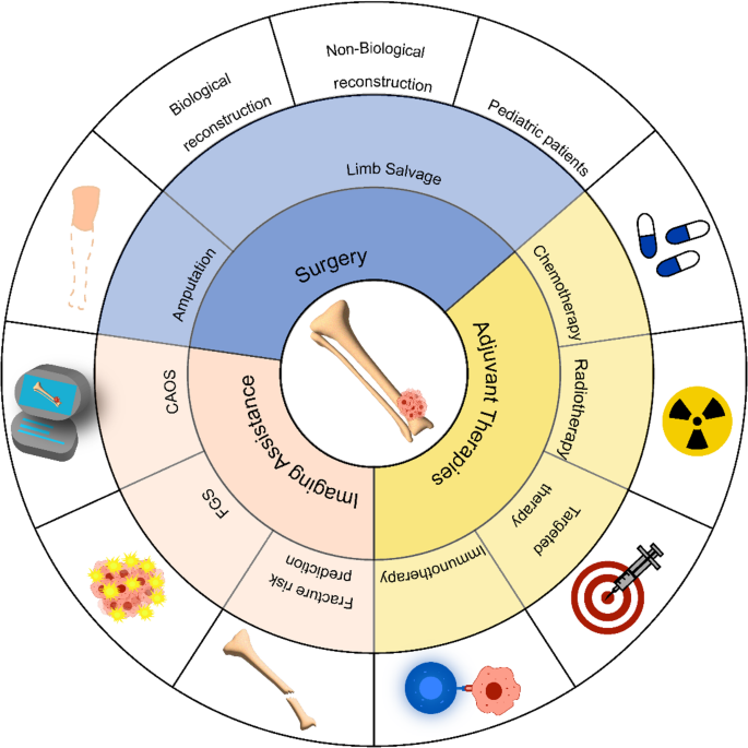 Advances in Surgical Management of Malignant Tumors of the Distal Tibia ...