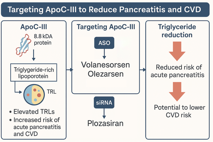 Anti-apoC-III Therapies and Implications for Treatment of Pancreatitis ...