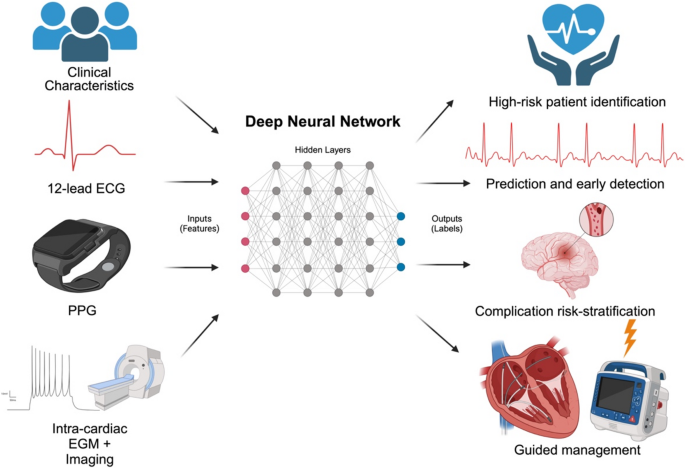 Machine Learning and Arrhythmia: Advances in Atrial Fibrillation ...
