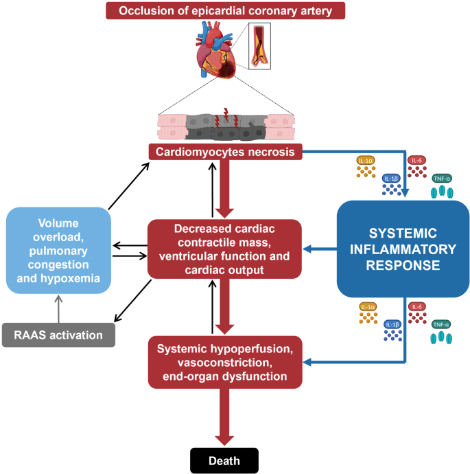 Interleukin-6 in Cardiogenic Shock | Current Cardiology Reports ...