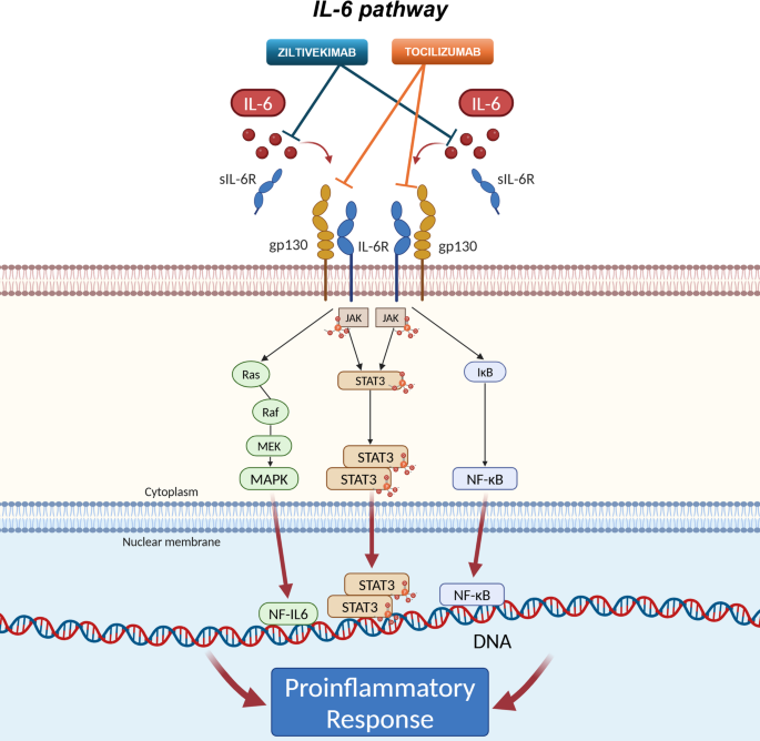Interleukin-6 in Cardiogenic Shock | Current Cardiology Reports