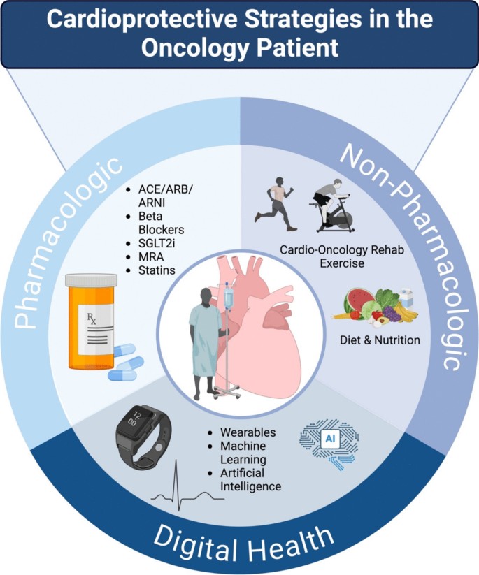 Evolving Cardioprotective Strategies in Cardio-Oncology: A Narrative ...