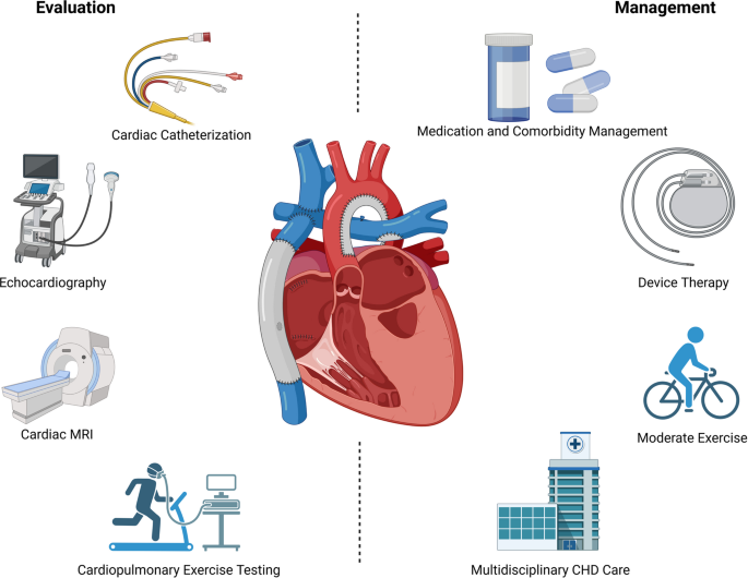 Addressing Diastolic Dysfunction in the Congenital Heart Population ...