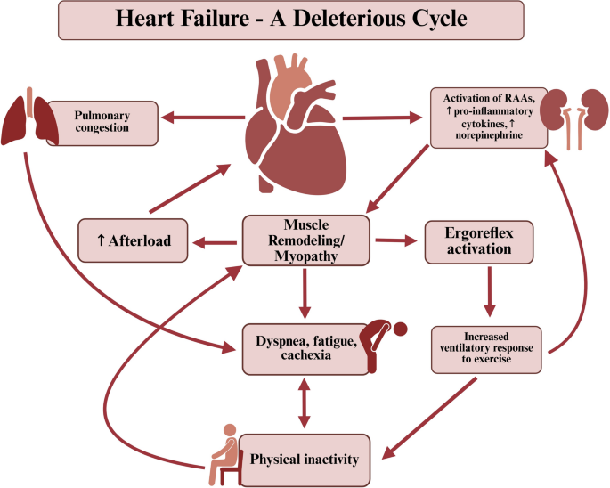 Exercise Rehabilitation for Heart Failure and Associated ...