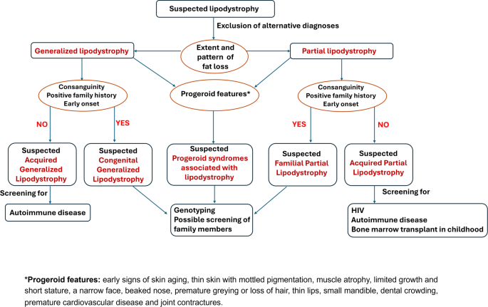 Clinical Guidance for Lipodystrophy Syndromes: From Diagnosis and Work ...