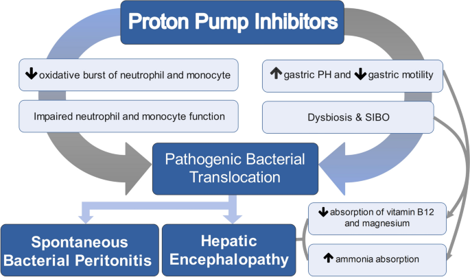 Proton Pump Inhibitors in Patients with Cirrhosis: Pharmacokinetics ...