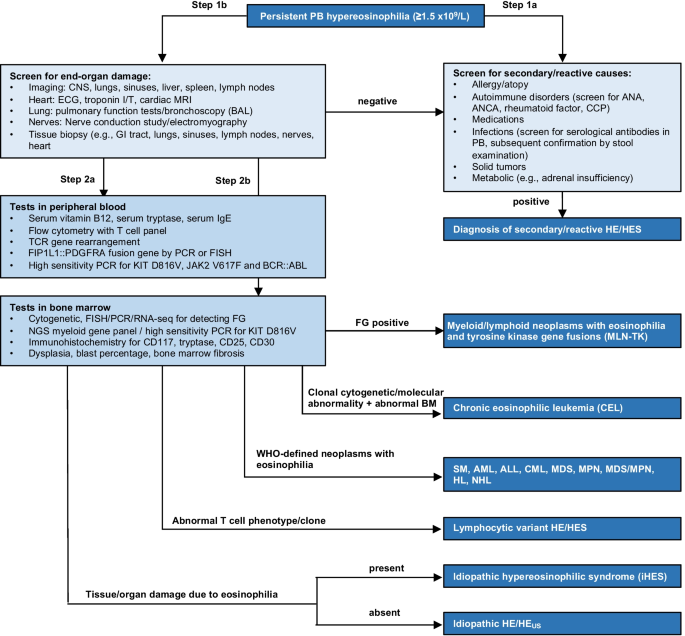 Approach to the patient with eosinophilia in the era of tyrosine kinase ...