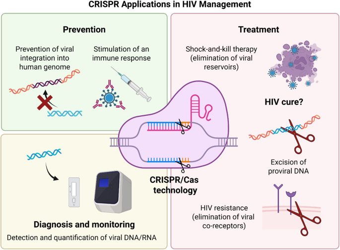 CRISPR Applications in HIV Management – Prevention, Diagnosis ...