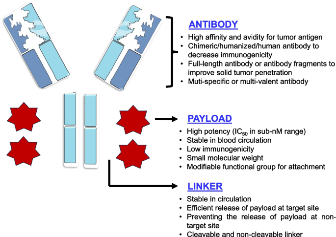 Chemotherapeutic Drug—Antibody Conjugates (ChemoBodies): Recent ...