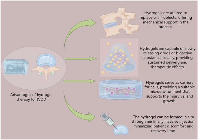 Progress in the Application of Hydrogels in Intervertebral Disc Repair ...