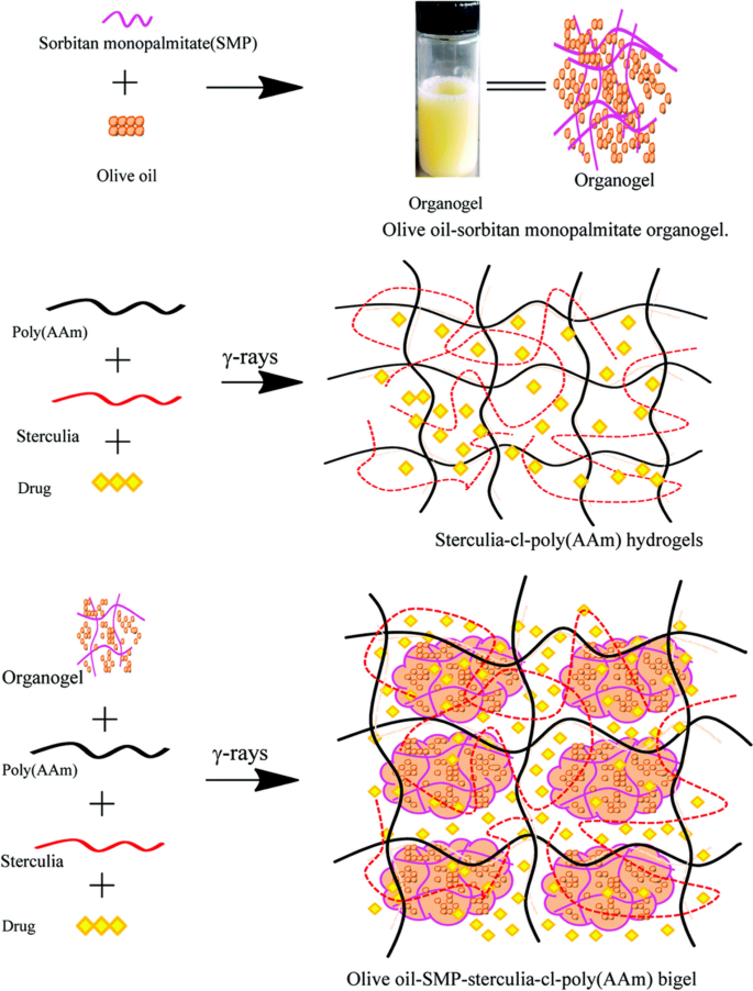 Nanoorganogels for Encapsulating Food Bioactive Compounds | Food and ...