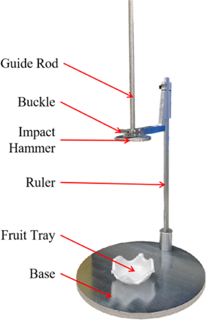 Analysis of Spectral Characterization and Evolution Mechanisms in the ...