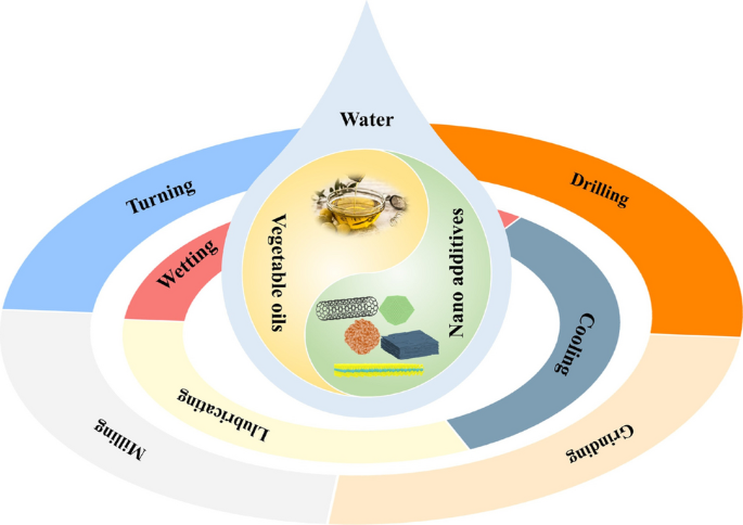 Bio-functional Compounds in Pigmented Rice: Recent Updates on ...