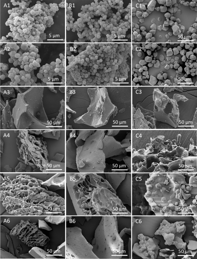 Microwave-Induced Structural and Functional Changes in Small Granule ...