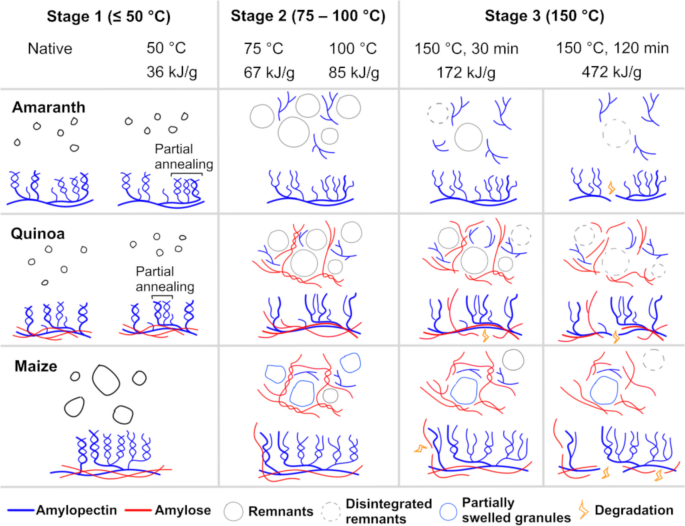 Microwave-Induced Structural and Functional Changes in Small Granule ...