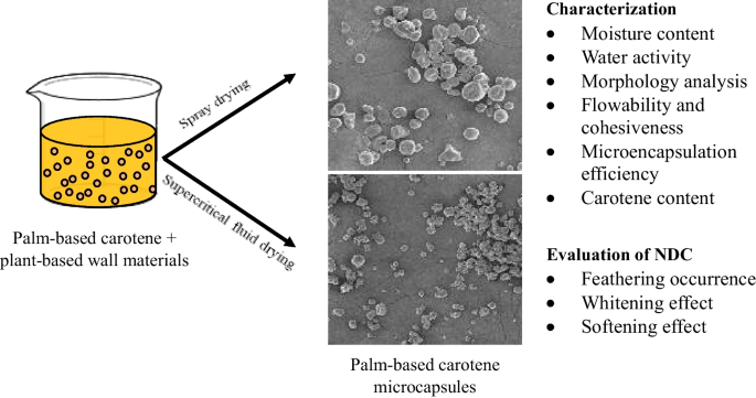 Comparative Evaluation of Palm-Based Carotene Microcapsules Produced ...
