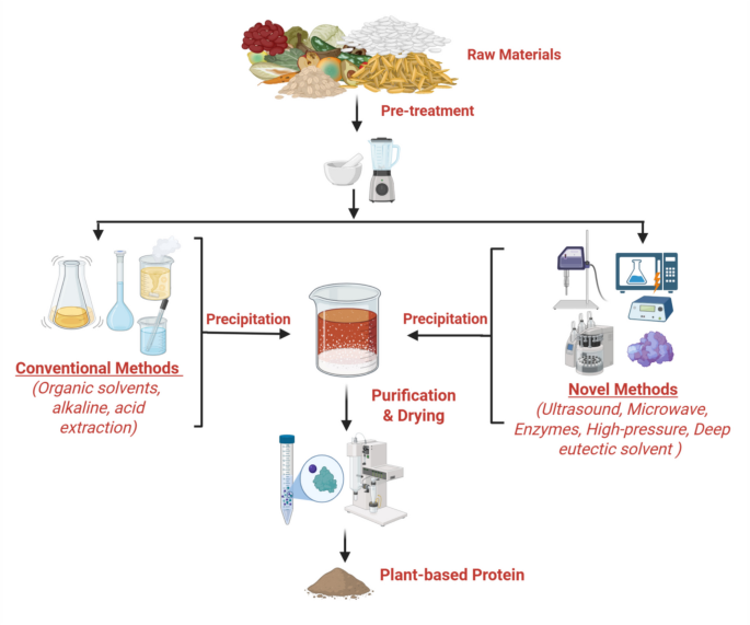 A Transition from Animal- to Plant-Based Proteins to Foster Sustainable ...
