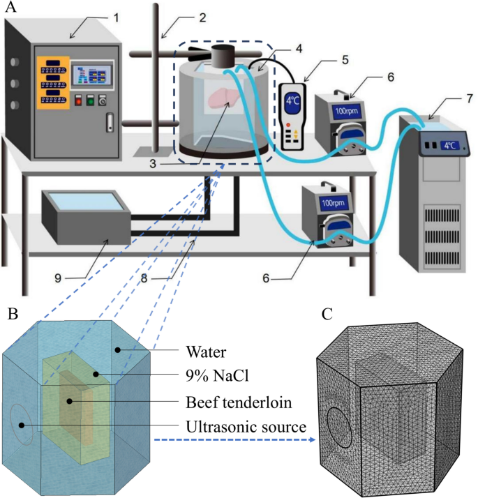 Effects of Different Multi-frequency Ultrasonic Modes Assisted Low ...