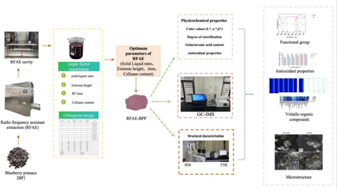 Impact of Radio Frequency–Assisted Cellulase Extraction on ...