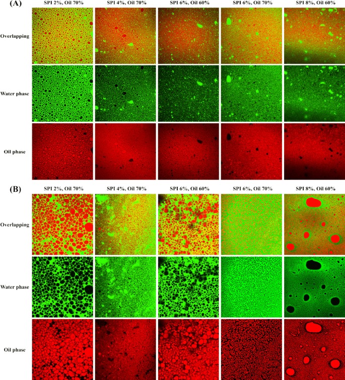 Soy Protein Isolate/Oil Ratio–Mediated Emulsification–Gelation ...