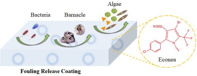 Coupling agent-derived tailored Econea fouling-release coating with ...