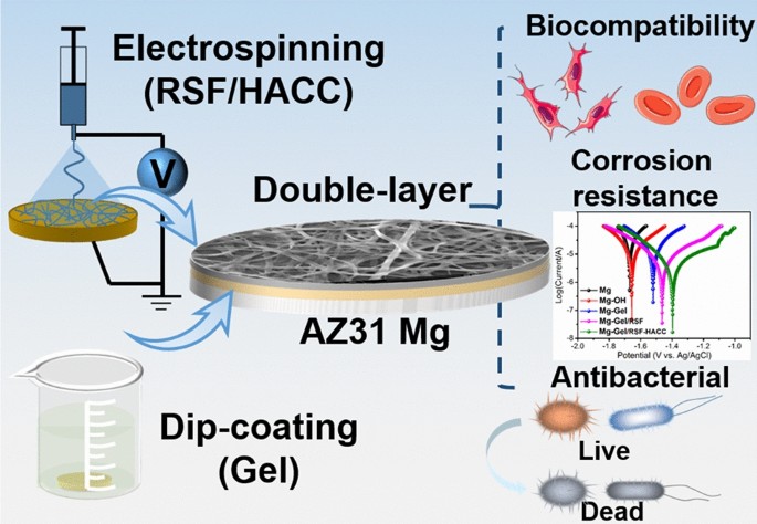 A silk fibroin/HACC electrospun fibrous coating on Mg alloy for ...