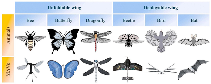 Flight of inspiration: mimicking nature’s mastery in micro air vehicle ...