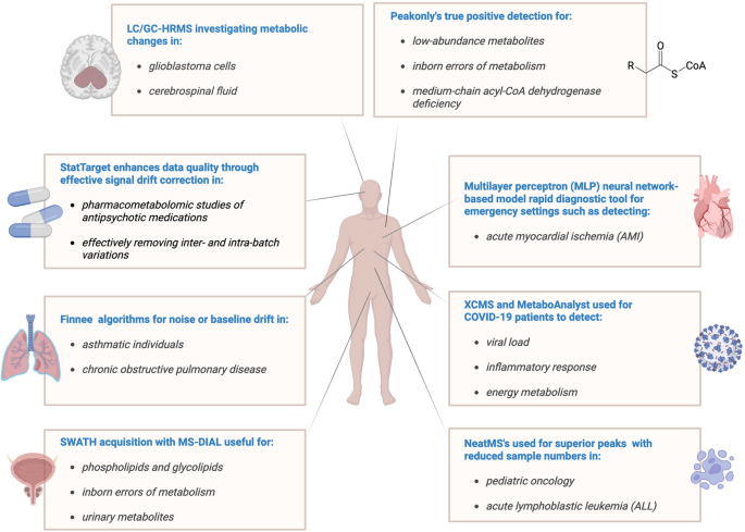 Current Advancements in Untargeted Metabolomics Analysis and Testing ...